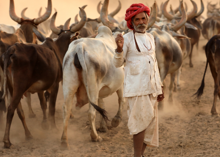 Institute for Desert Ecology and Environmental Research Foundation